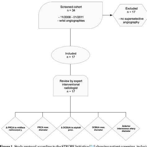 Study Protocol According To The Strobe Initiative 24 Showing Patient
