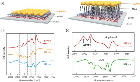 A Aunps Aptes Si Or Aunps Mua Aptes Si Interfaces Before