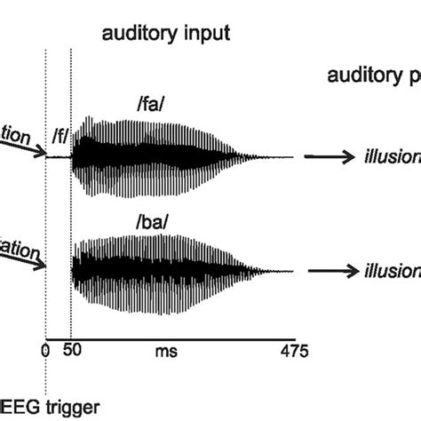 Hypothesis And Stimuli A Visual Depiction Of Our Hypothesis When