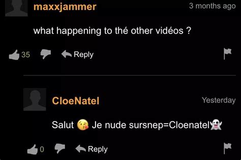This Comment Had A Letter With A French Accent So The Bot Replied In French Not Anything