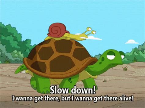 Slow  Slow Down Disney Slow Descubrir Y Compartir S