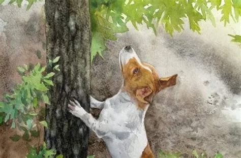 Mese Foltos új Barátja Mészárosné Szuda Melinda Meséje Meskete