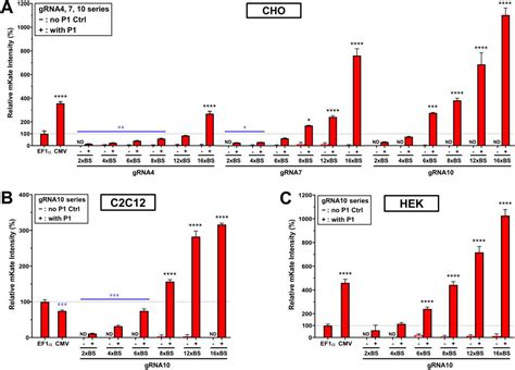 Adherent Wild Type Cho K1 Cells Atcc Bioz