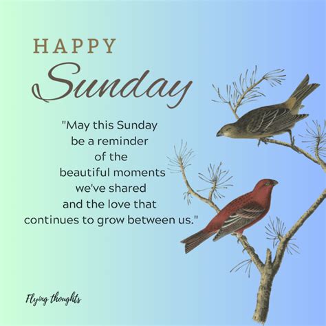 Happy Sunday Wishes Messages And Quotes To Share With Loved Ones