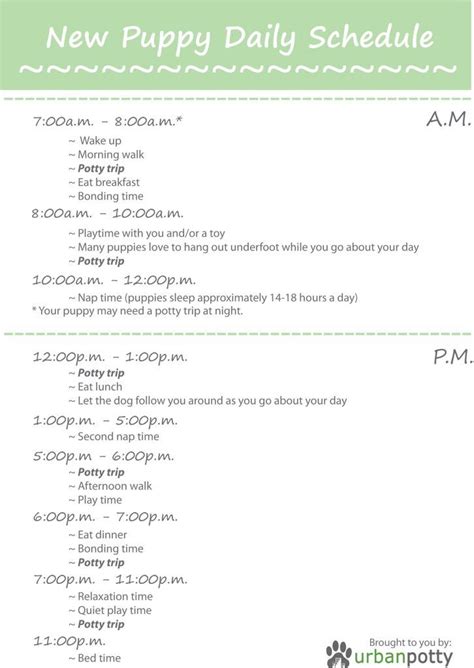 How to House Train Your Puppy | Puppy training schedule, Puppy training, Potty training puppy