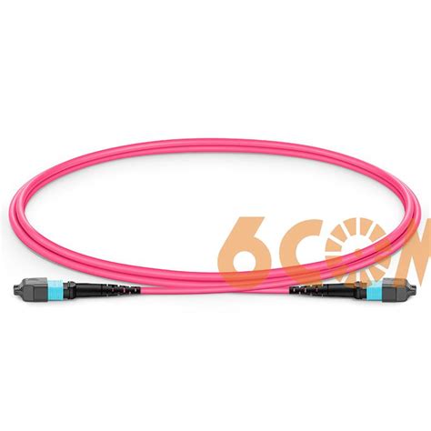 1m Mtp Female To Mtp Female 12 Fibers Om4 30mm Lszh Multimode Fiber