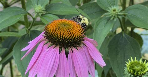 Small Things Make A Big Difference Young Writers Project