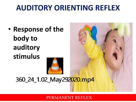 Assessment Of Newborn Reflexes Pptx