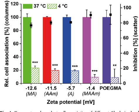 Figure 4 From Impact Of The Polymer Backbone Chemistry On Interactions Of Amino Acid Derived