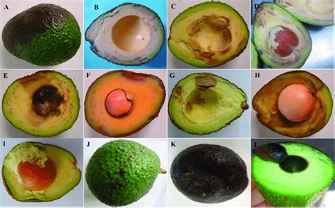 Symptoms Associated With Postharvest Disorders In Avocado Cv Hass A