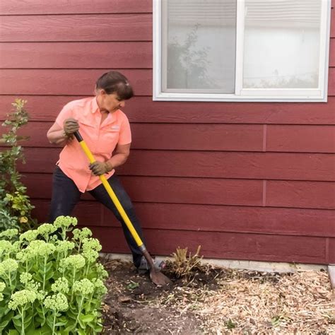 How To Remove Bushes And Shrub Roots Using A Lever