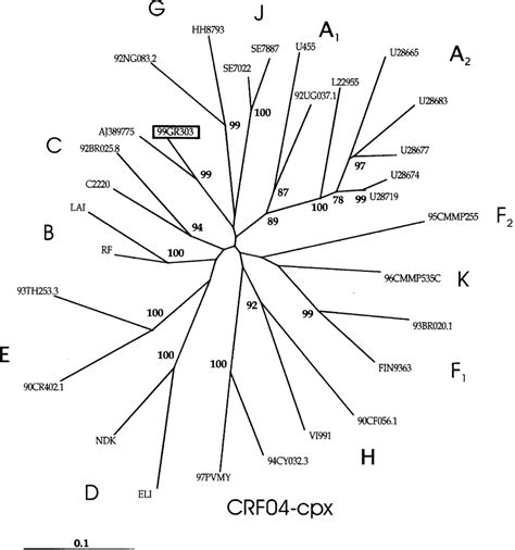 A Mosaic Structure Of The 99gr303 Isolate Genomic Sequence Partial Download Scientific