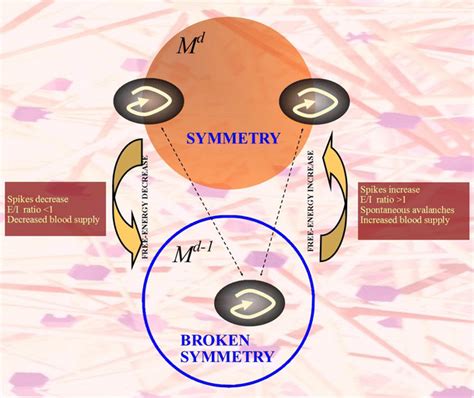 The Manifold Md Displays Two Antipodal Points With Matching