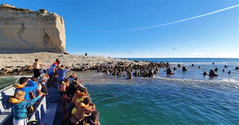 Puerto Madryn Peninsula Valdes Tour With Whale Watching Getyourguide