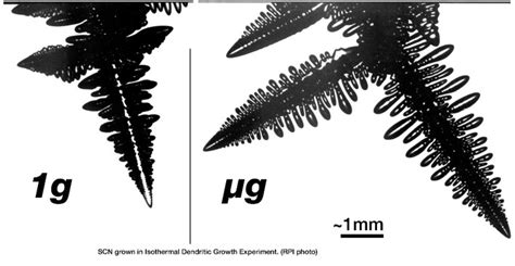 Isothermal Dendritic Growth Experiment Idge Isothermal Dendritic Growth Experiment Idge