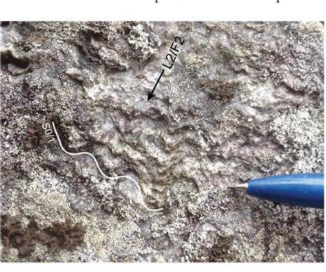 Structures In The Western Volcanosedimentary Domain Crenulated S01
