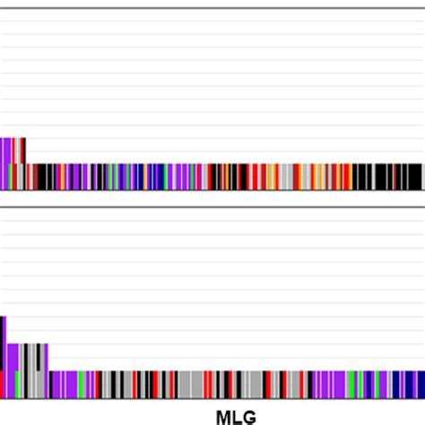 Bar Plot Showing The Abundances Of Single Nucleotide Polymorphism