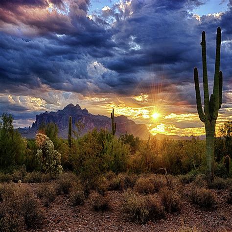 What Type Of Desert Is The Sonoran Desert At Victoria Sanchez Blog