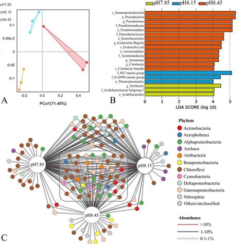 Overview Of The Geochip Analysis A Microbial Functional Repertoires Download Scientific