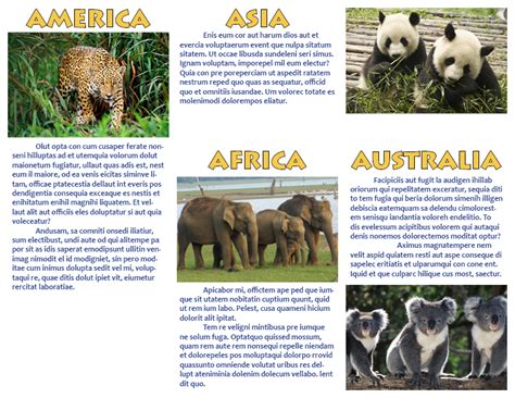 Adobe Indesign Practice On Behance