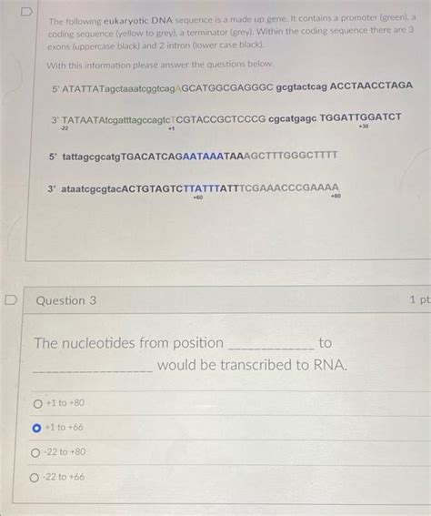 Solved U The Following Eukaryotic DNA Sequence Is A Made Up Chegg
