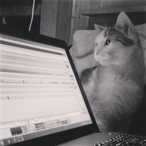 Patrick Break P Breakofficial Twitter