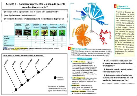 évaluation Svt 6ème Classification Des êtres Vivants Pdf Chtoby Pomnili