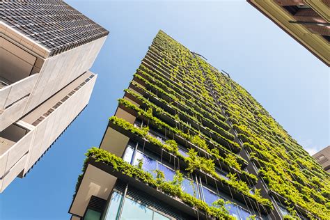 Cushman And Wakefield Apuesta Por Edificios Cero Emisiones De Carbono Para 2050