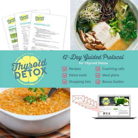 Thyroid Detox Program Wellena Hormones Balance