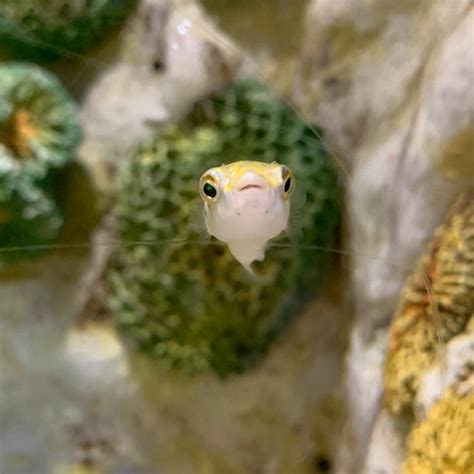 Stream 뭐가 부족한 걸까 Prod By Krax By Astraunofficial Listen Online