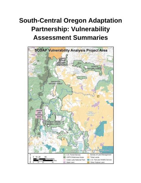 Pdf Scoap Vulnerability Assessment Summaries Dokumentips