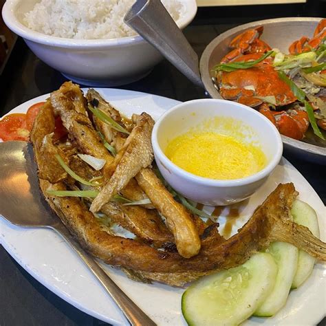 Dampa Express Scout Torillo Timog Quezon City