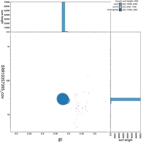 genome assembly of aporophyla nigra ilaponigr3 1 blobtoolkit