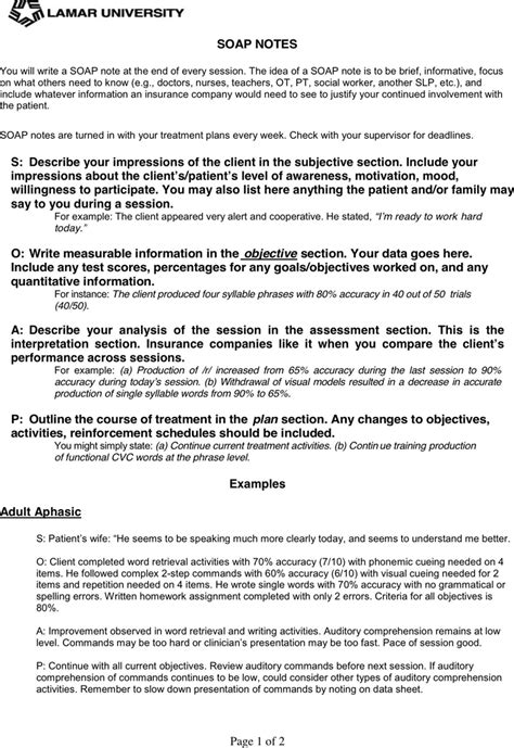 Soap Note Example Template Free Download Speedy Template