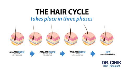 Finasteride 1mg Propecia For Androgenetic Alopecia Effectiveness Potential Side Effects And