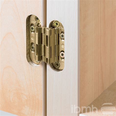 Import Brass Concealed Hinges From China Ibmhcorp