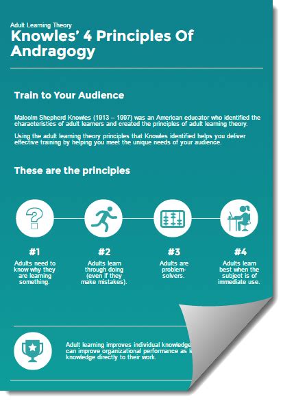 Adult Learning Theory Infographic Artofit