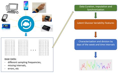 1 Flow Diagram Describing The Data Collection Preprocessing And