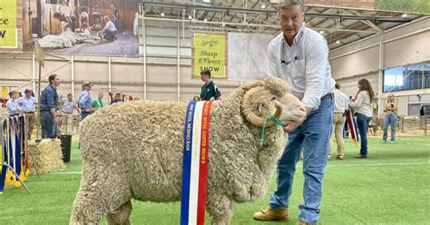 Sydney Royal Show 2024 Fine Wool Merino And Poll Merino Winners The