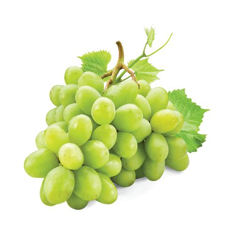 שיק שק שוק שיקשקשוק משלוחי פירות וירקות ומה שביניהם