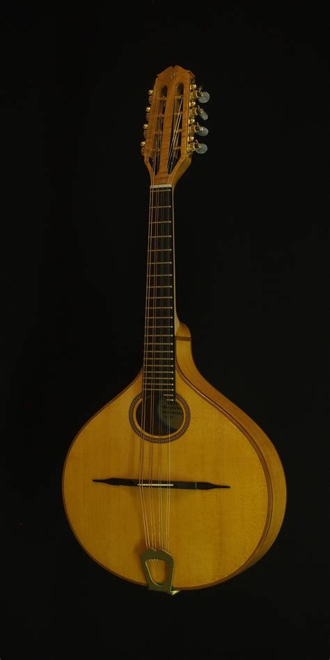 155 Mandolin Xo Thijs Van Der Harst