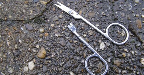 Dcas9 Is Catalytically Dead Long Live Cas9