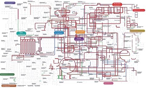Lab Numbers Lie And You Believe Your Life Depends On Them