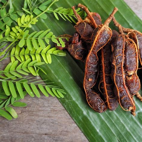 Tamarind Fruit Taste