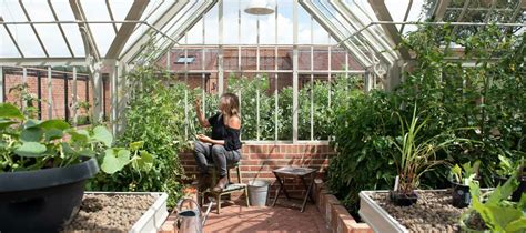 15 Vegetables To Grow In A Greenhouse Alitex