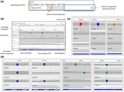 Overview Of The Igv And How To Use It For Manual Curation Through