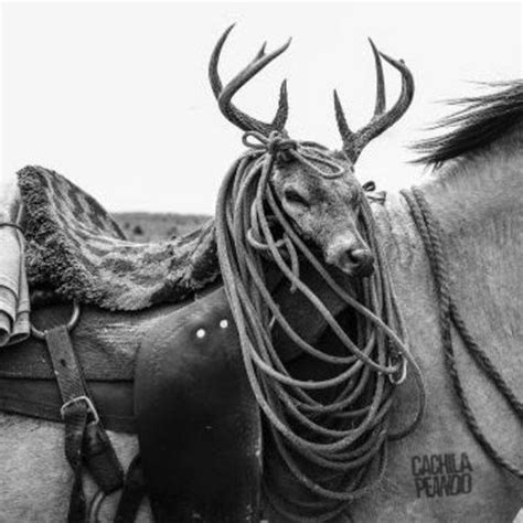 Esto Si Es Criollo Fama 🤠 Cachilapeando Cachilapeando