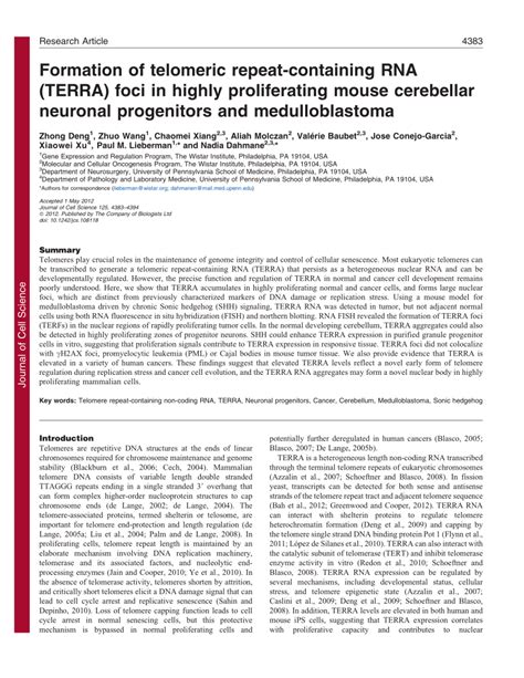 Pdf Formation Of Telomeric Repeat Containing Rna Terra Foci In Highly Proliferating Mouse