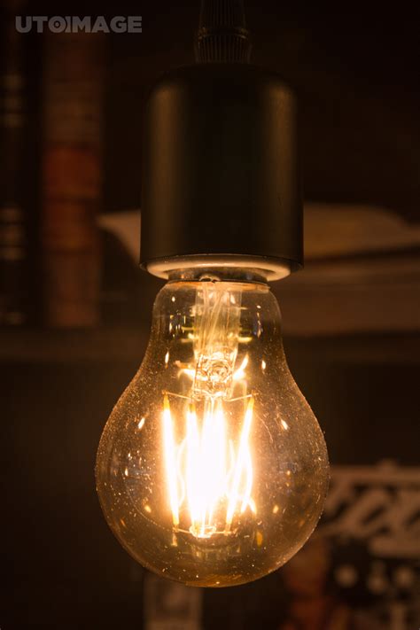 백열전구 조명 인테리어 유토이미지 상세페이지 베이직샵 사진 20474965