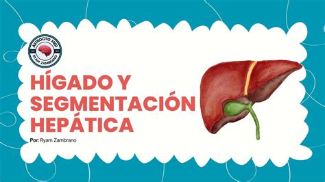 Hígado Y Segmentación Hepática Ryam Zambrano Udocz